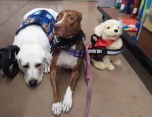 Does Walmart Allow Dogs? Is Walmart Dog-Friendly? 2025