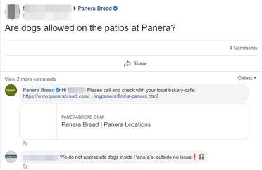 Does Panera Allow Dogs
